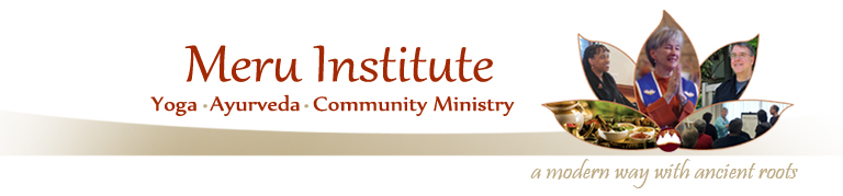 Light from a Thousand Suns! Meru Institute Information Night